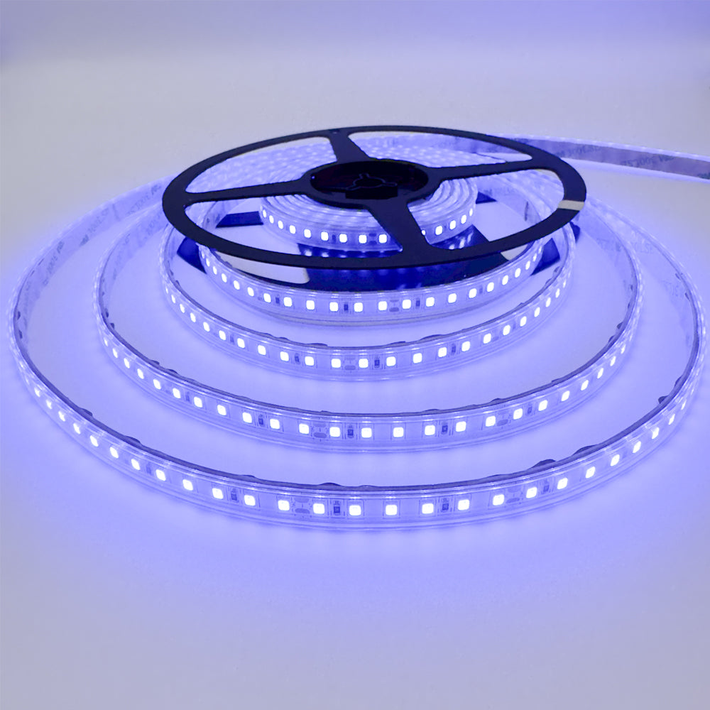 Single Colour LED Strip 10 W/m IP65 24V Blue 120 LEDs/m 5 Metre ...
